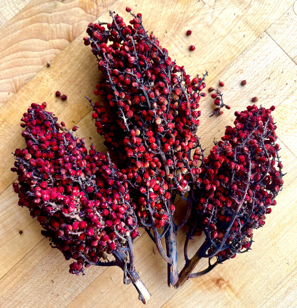 Wild Sumac 2oz – Far West Fungi